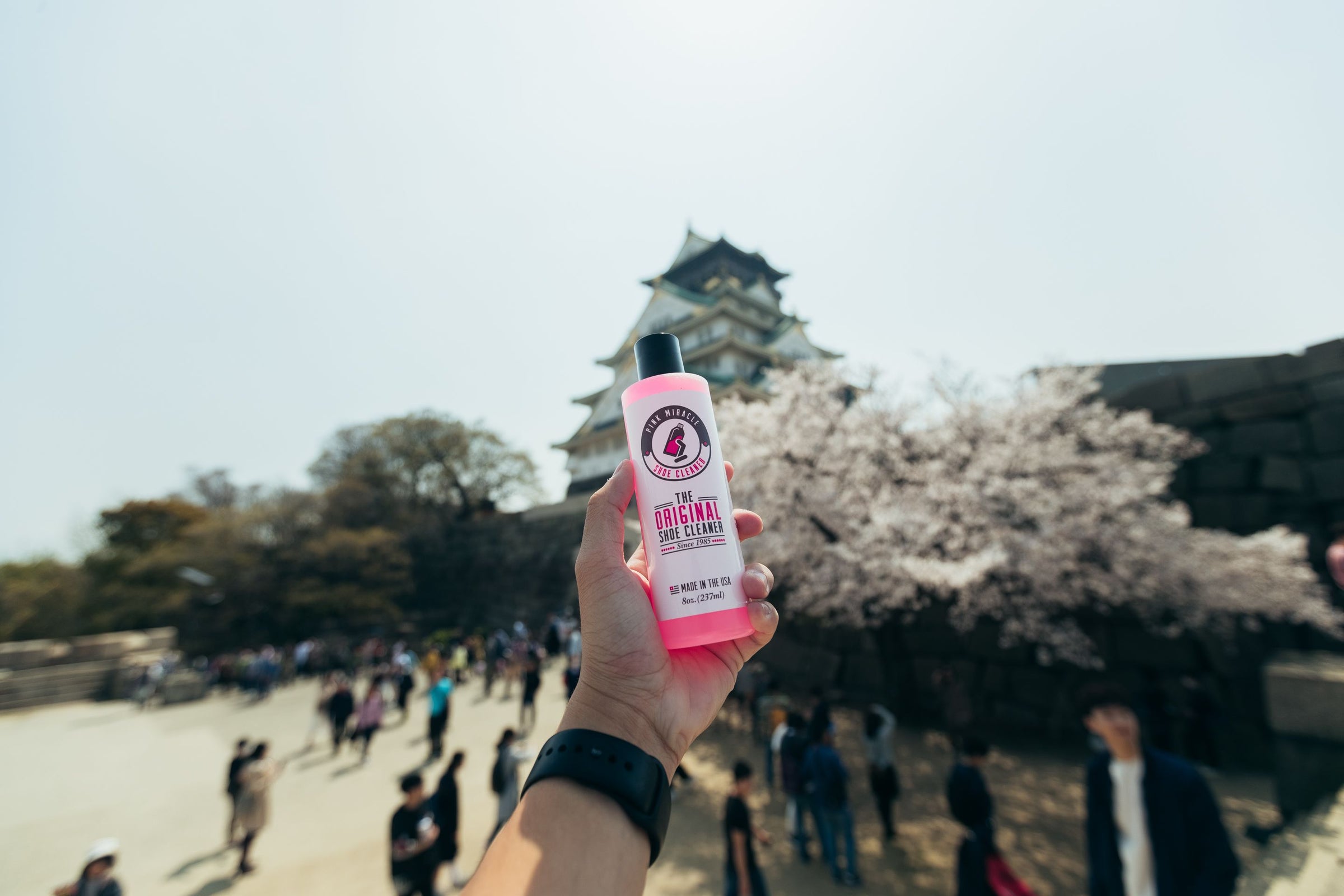 Pink Miracle – Pink Miracle